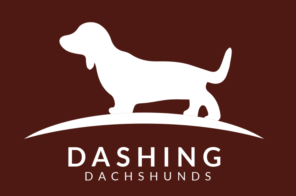 Our Dashing Dachshunds